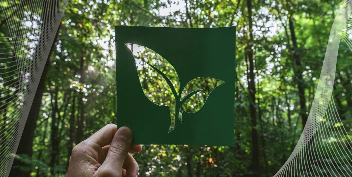 7 Green Marketing Examples | Isoline Communications